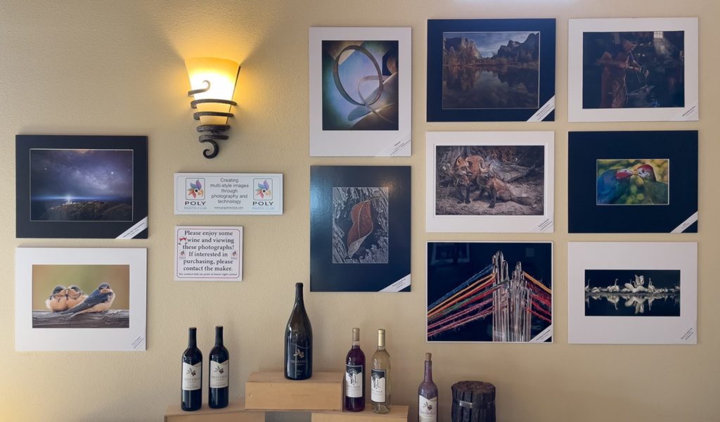 New Poly Gallery at Trevi Hills Winery, July to Oct – Poly Photo Club