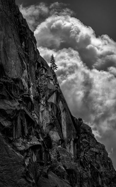 Poly Photo Club – Creating multi-style images through photography and ...